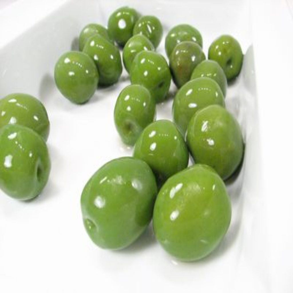 Discovering the Nocellara olive oil of Mount Etna