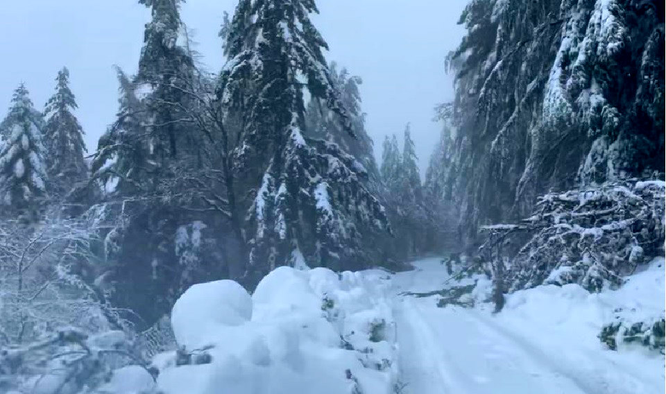 The great snow storm of February 2023