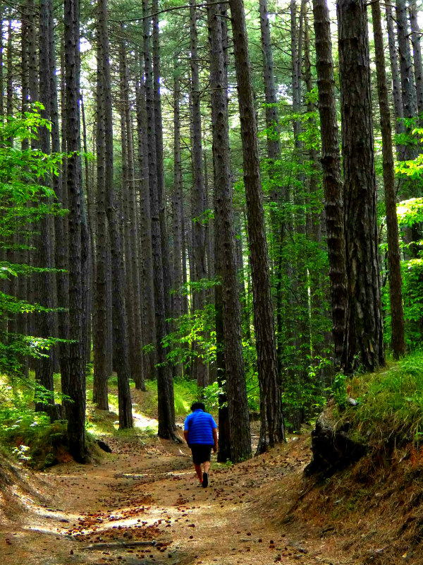 Lone Hikers: challenging Mt Etna every day