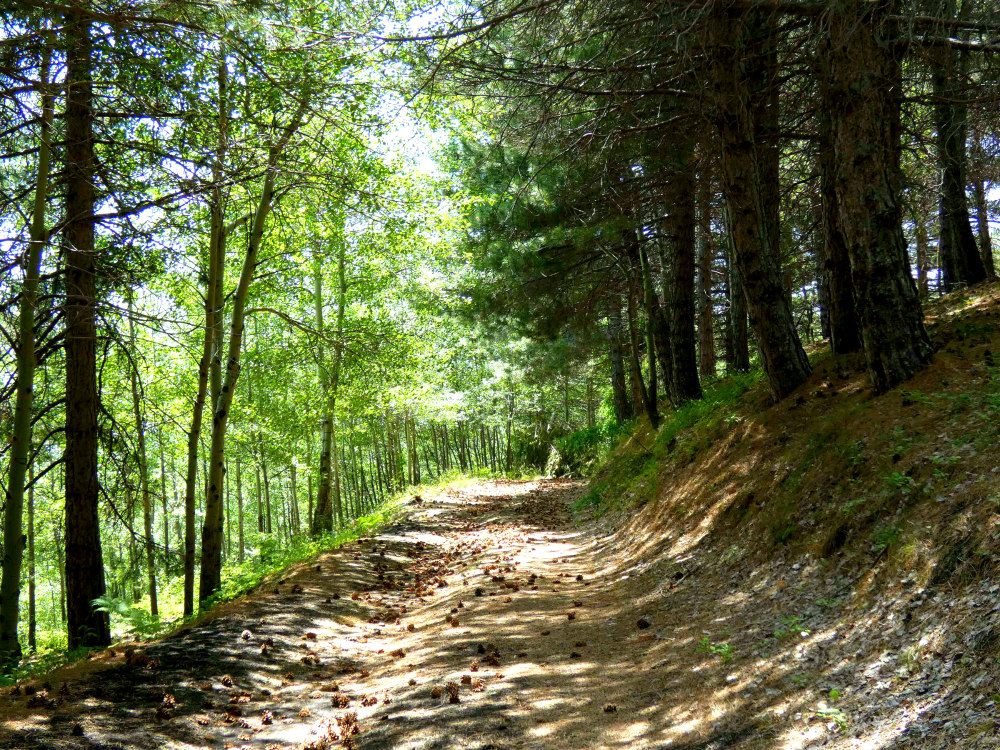 Itinerary at Crater Mount Manfré of Belpasso